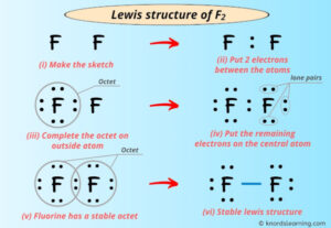 Lewis Structure of F2 (With 6 Simple Steps to Draw!)