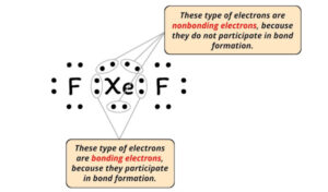 Lewis Structure of XeF2 (With 5 Simple Steps to Draw!)