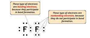 Lewis Structure of F2 (With 6 Simple Steps to Draw!)