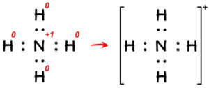 Lewis Structure of NH4+ (Ammonium ion) (With 6 Simple Steps)