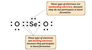 Lewis Structure of SeO2 (With 6 Simple Steps to Draw!)