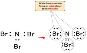 Lewis Structure of NBr3 (With 6 Simple Steps to Draw!)