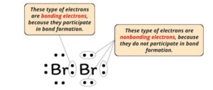 Lewis Structure of Br2 (With 6 Simple Steps to Draw!)