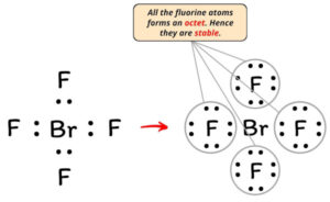 Lewis Structure of BrF4- (With 5 Simple Steps to Draw!)