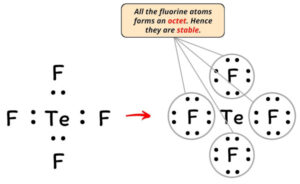 Lewis Structure of TeF4 (With 5 Simple Steps to Draw!)
