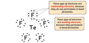 Lewis Structure of TeF5- (With 5 Simple Steps to Draw!)