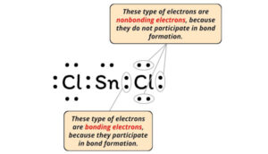 Lewis Structure of SnCl2 (With 6 Simple Steps to Draw!)