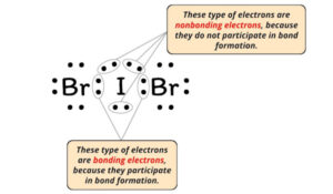 Lewis Structure of IBr2- (With 5 Simple Steps to Draw!)