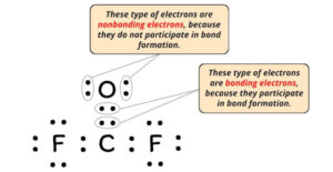 Lewis Structure of COF2 (With 6 Simple Steps to Draw!)
