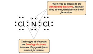Lewis Structure of NCl2- (With 6 Simple Steps to Draw!)
