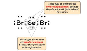 Lewis Structure of SeBr2 (With 6 Simple Steps to Draw!)