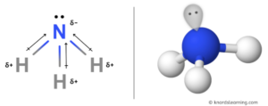 Is NH3 (Ammonia) Polar or Nonpolar? (And Why?)