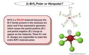Is BrF5 Polar or Nonpolar? (And Why?)