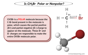 Is CH3Br Polar or Nonpolar? (And Why?)