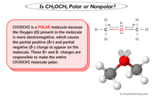 Is CH3OCH3 Polar or Nonpolar? (And Why?)