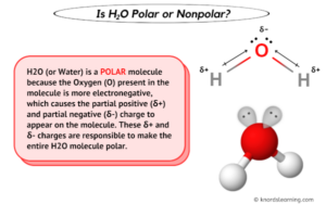 Is H2O (Water) Polar or Nonpolar? (And Why?)