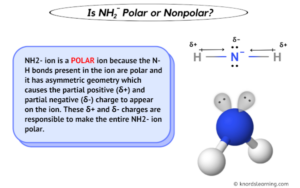 Is NH2- Polar or Nonpolar? (And Why?)