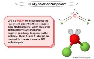Is OF2 Polar or Nonpolar? (And Why?)