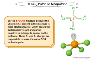 Is SCl4 Polar or Nonpolar? (And Why?)
