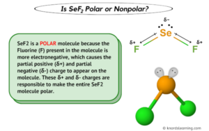 Is SeF2 Polar or Nonpolar? (And Why?)