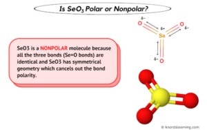 Is SeO3 Polar or Nonpolar? (And Why?)
