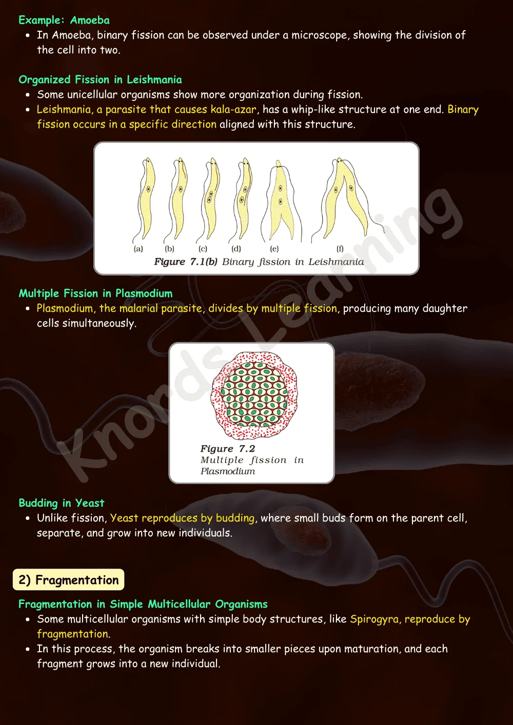 Notes Ch 7 How Do Organisms Reproduce Knords Learning Notes Ch 7 How Do Organisms Reproduce Knords Learning
